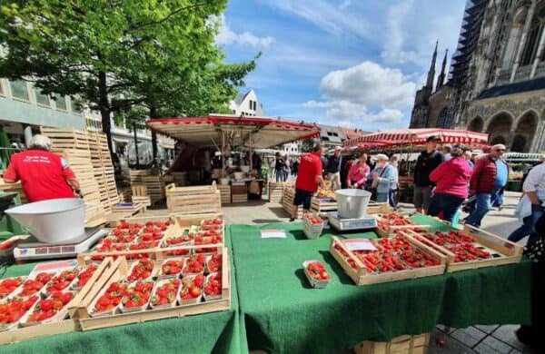Das Ulmer Münster: Eine Top Sehenswürdigkeit am Rande der Schwäbischen Alb