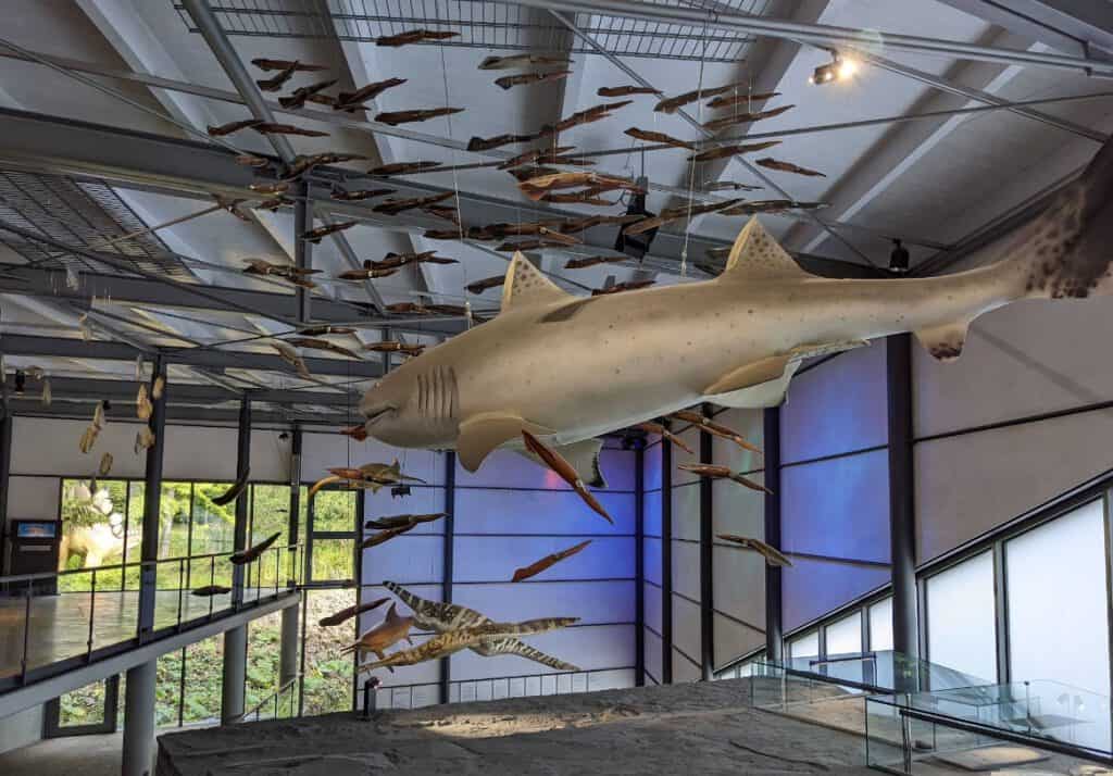 Urwelt-Museum Hauff in Holzmaden: Reise zu 180 Millionen Jahre alten ...