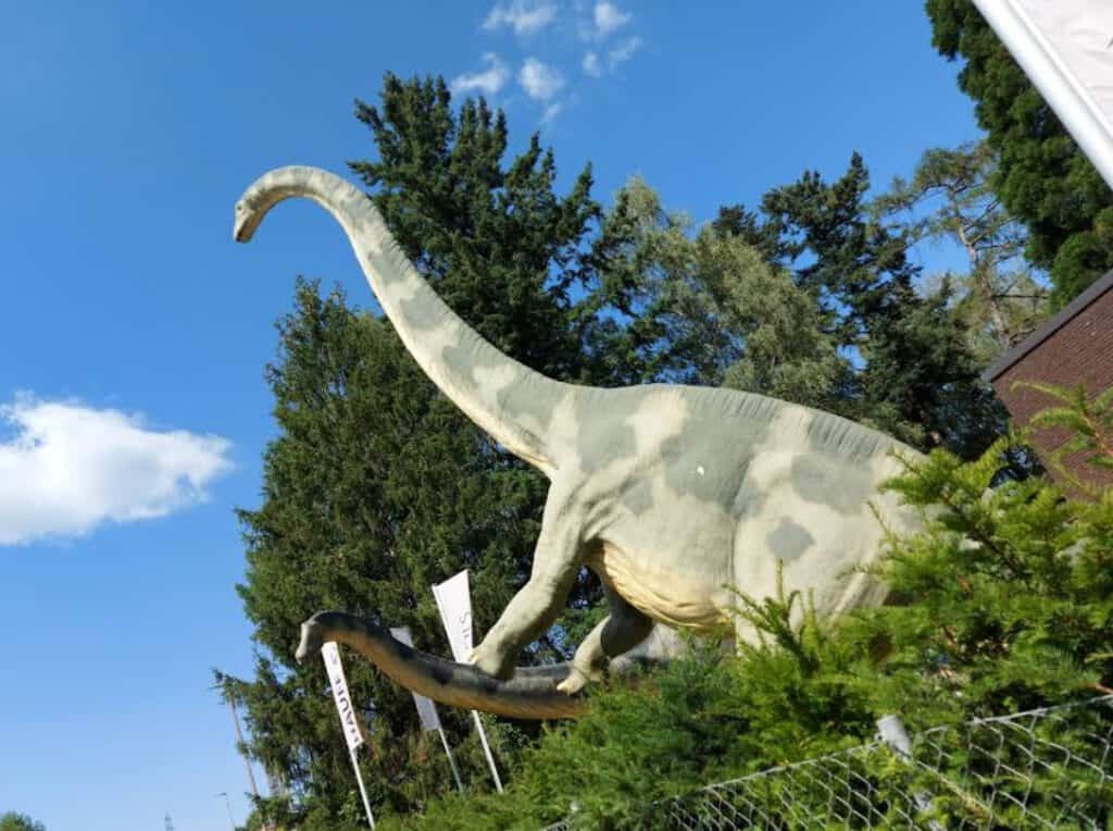 Urwelt-Museum Hauff in Holzmaden: Reise zu 180 Millionen Jahre alten ...